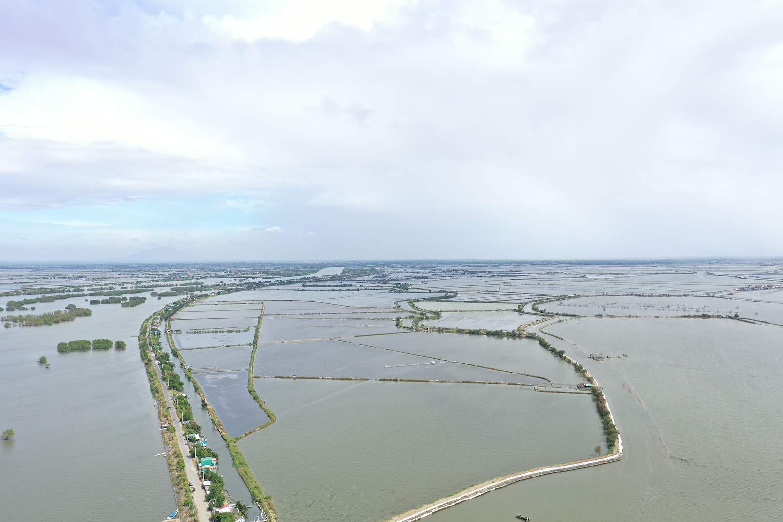 16 November - Masantol, Pampanga | RHDHV BI2434-NMBFPS